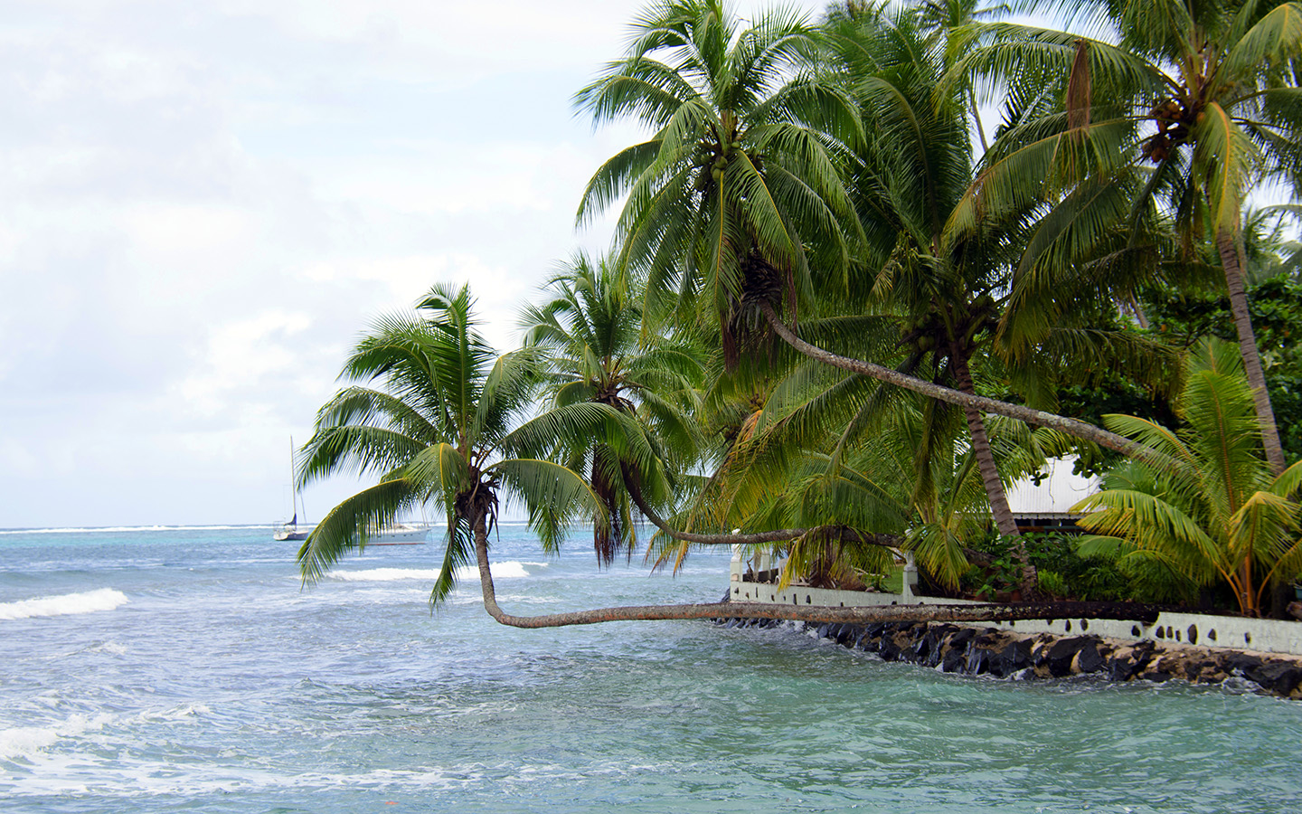 28 day Polnesian Cruise aboard the ms Statendam